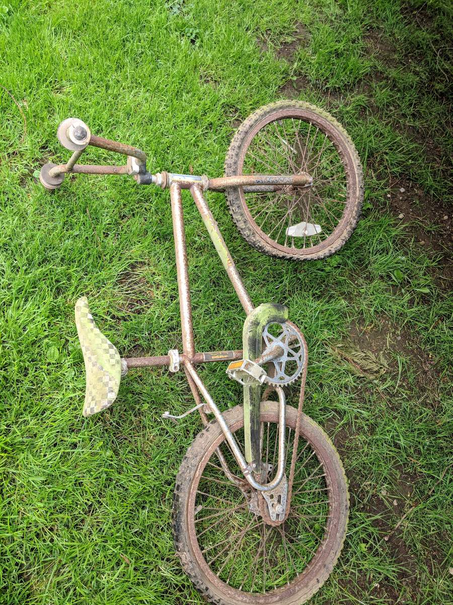Rusty crusty 83 goose - BMXmuseum.com Forums