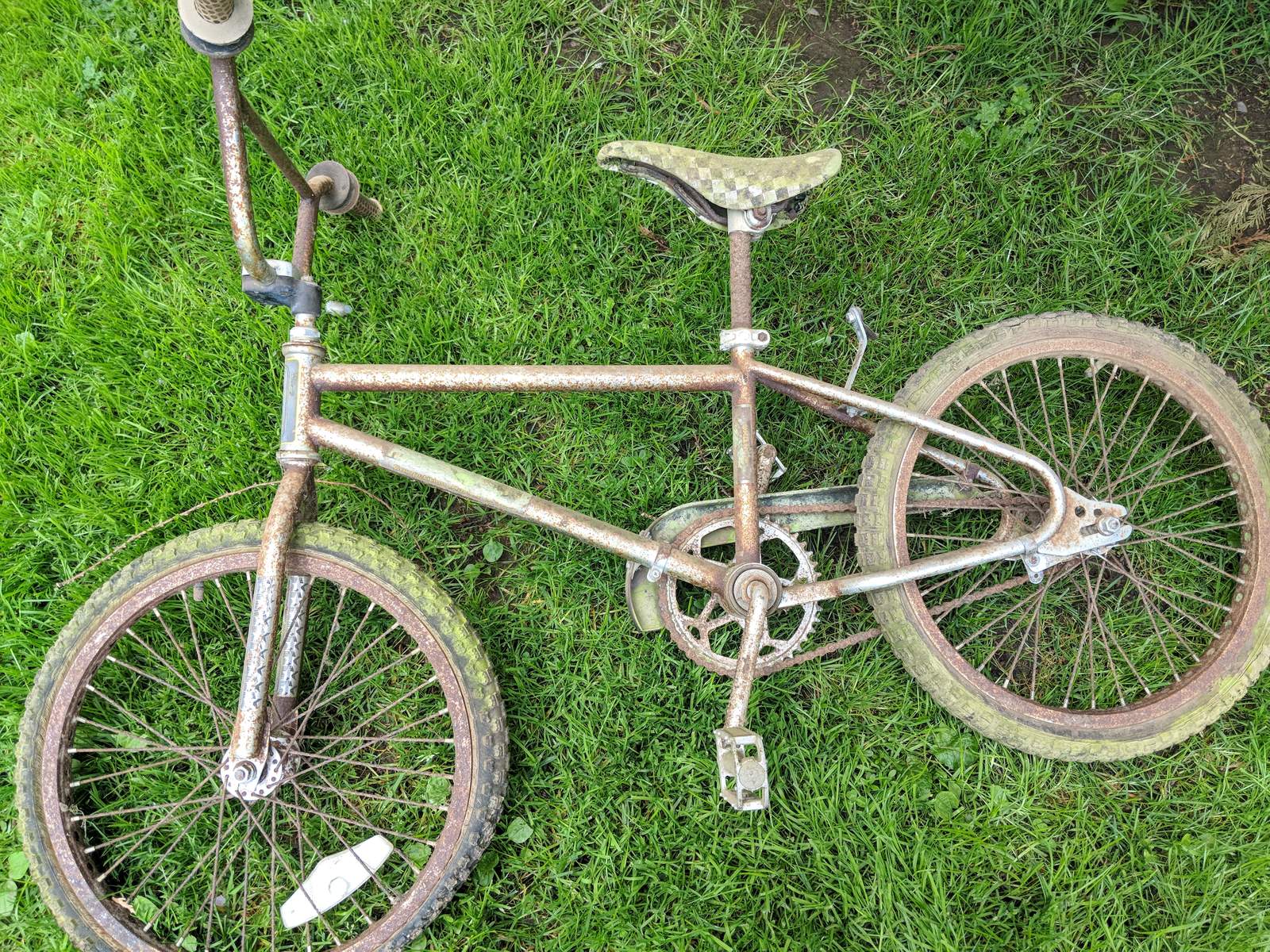 Rusty crusty 83 goose - BMXmuseum.com Forums