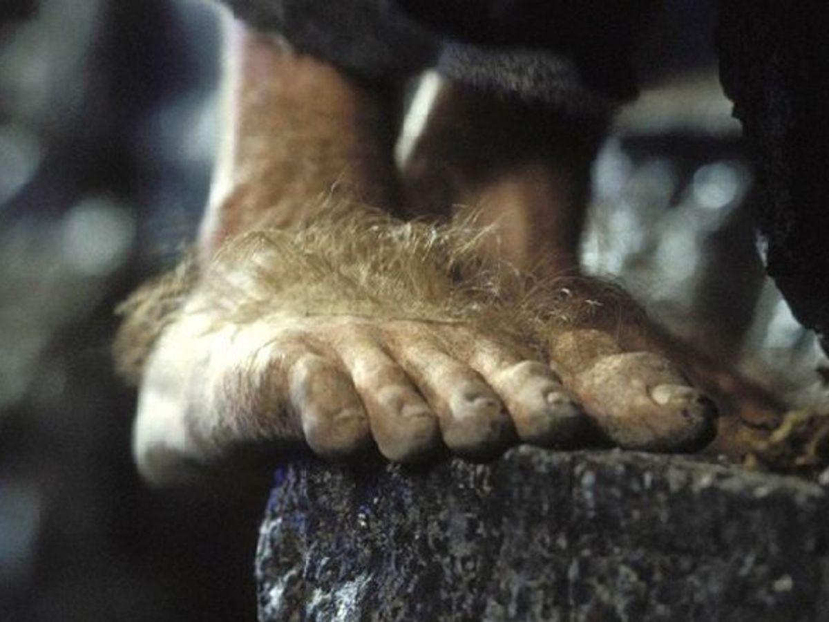 The things you see on FB... - BMXmuseum.com Forums