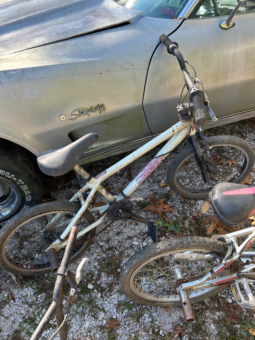 Kalel’s Bmx scores - BMXmuseum.com Forums