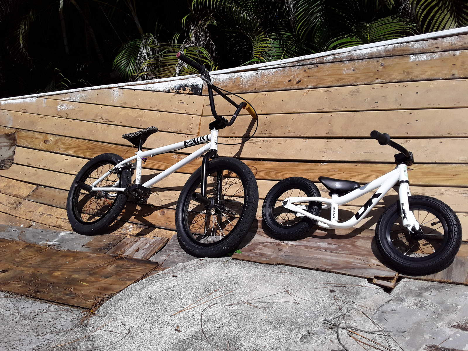 Dk Talk - BMXmuseum.com Forums