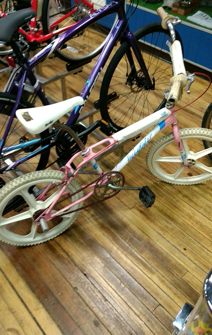 Official Pink '85 Haro Master/Sport thread. Lets get a count ...