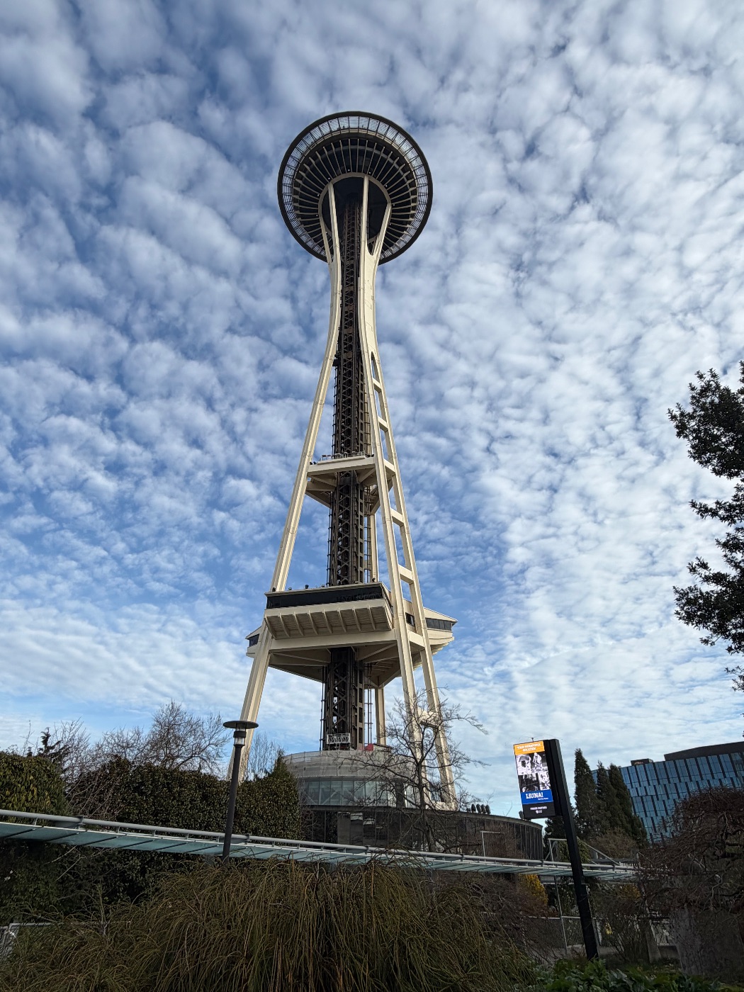 Pictures from your own personal camera roll. No memes allowed ...