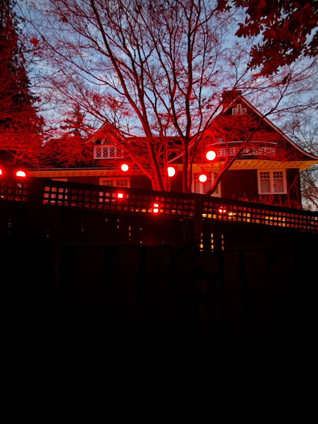 Pictures from your own personal camera roll. No memes allowed ...