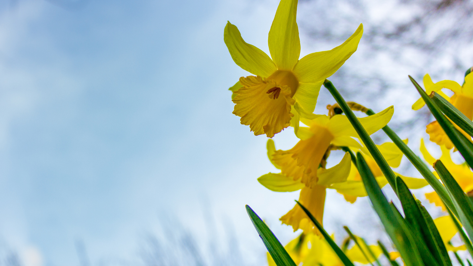 10 Reasons You Should Visit Nantucket This Spring - Tradewind Aviation