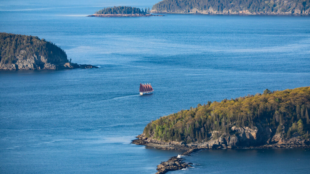 The Best Bar Harbor Restaurants - Tradewind Aviation