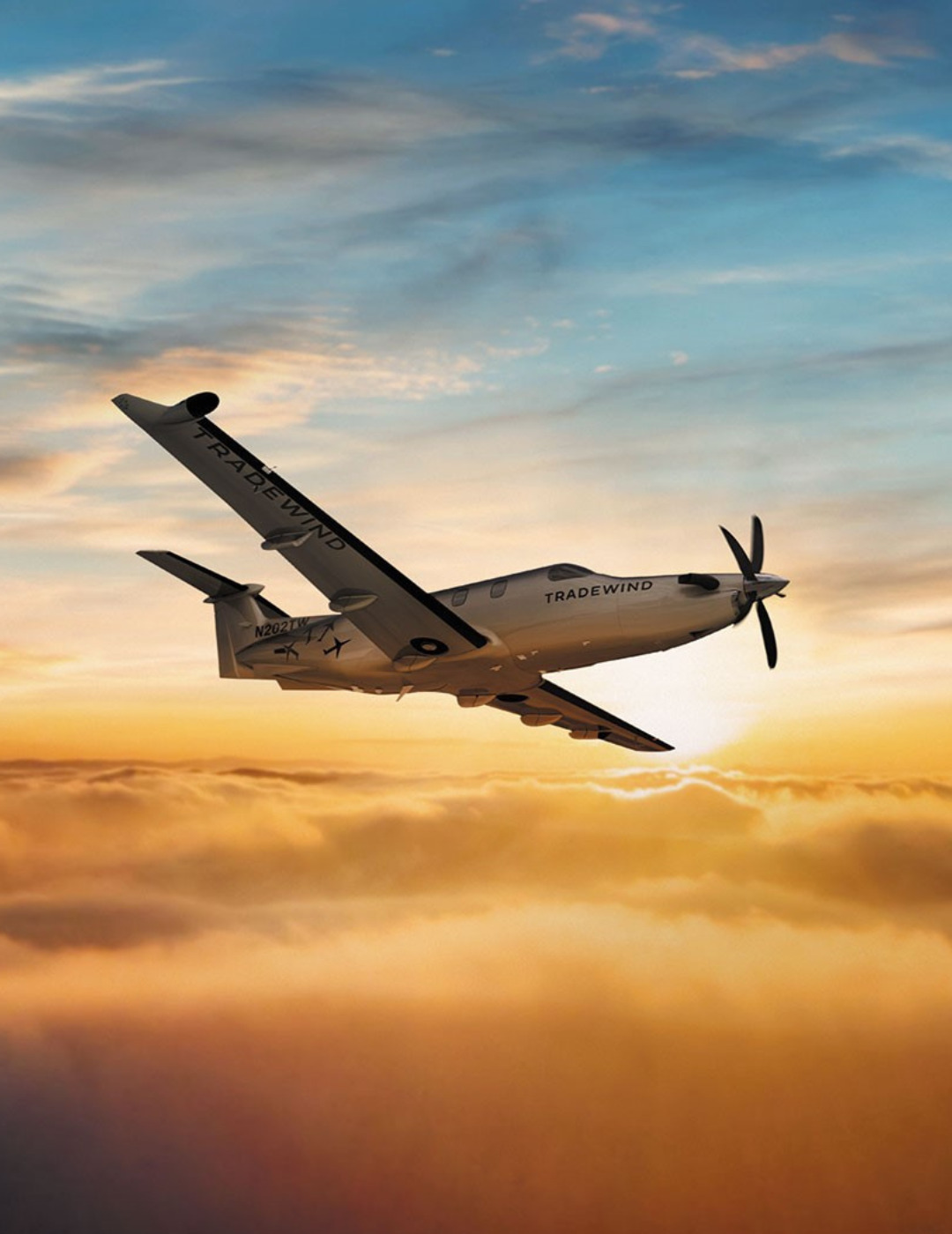 Southeast Region Private Charter | Tradewind Aviation