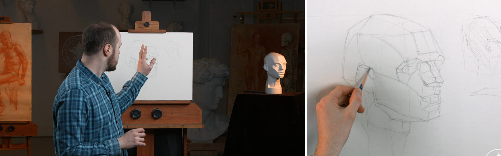 Drawing the Planes of the Head | New Masters Academy