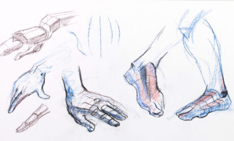 Introduction to the Figure | New Masters Academy