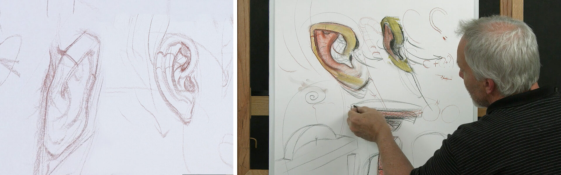 Introduction to Drawing the Ears | New Masters Academy