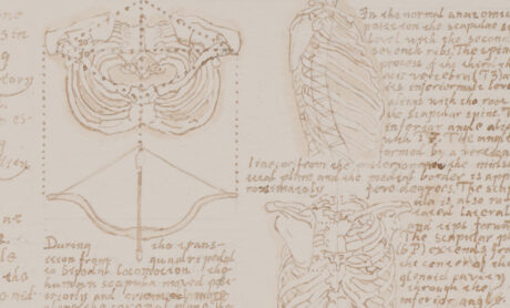 Anatomy Master Class | New Masters Academy