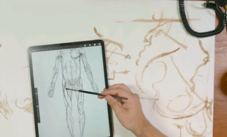 Anatomy Master Class (Review) | New Masters Academy