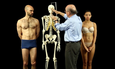 Intermediate Anatomy Drawing | New Masters Academy