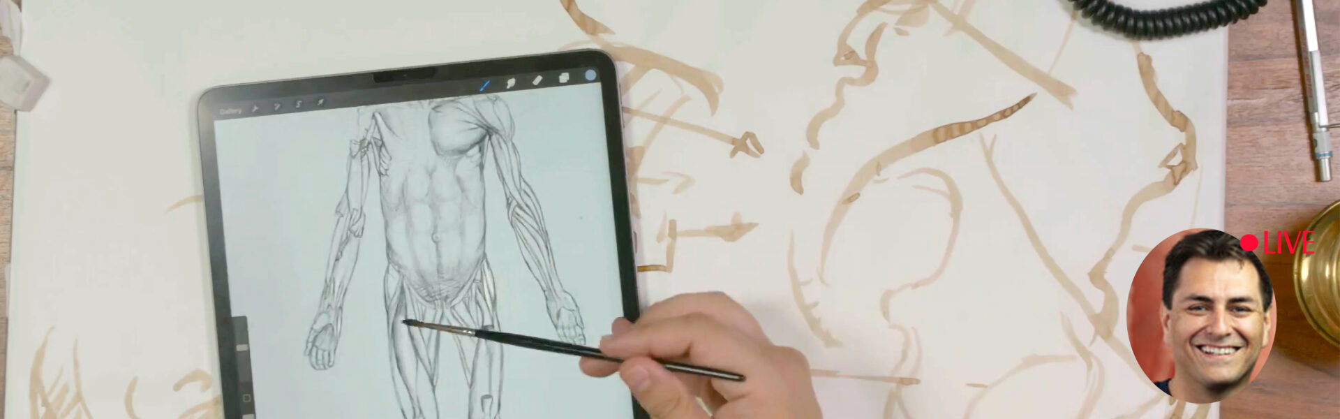 Anatomy Master Class Review Week 4 | New Masters Academy