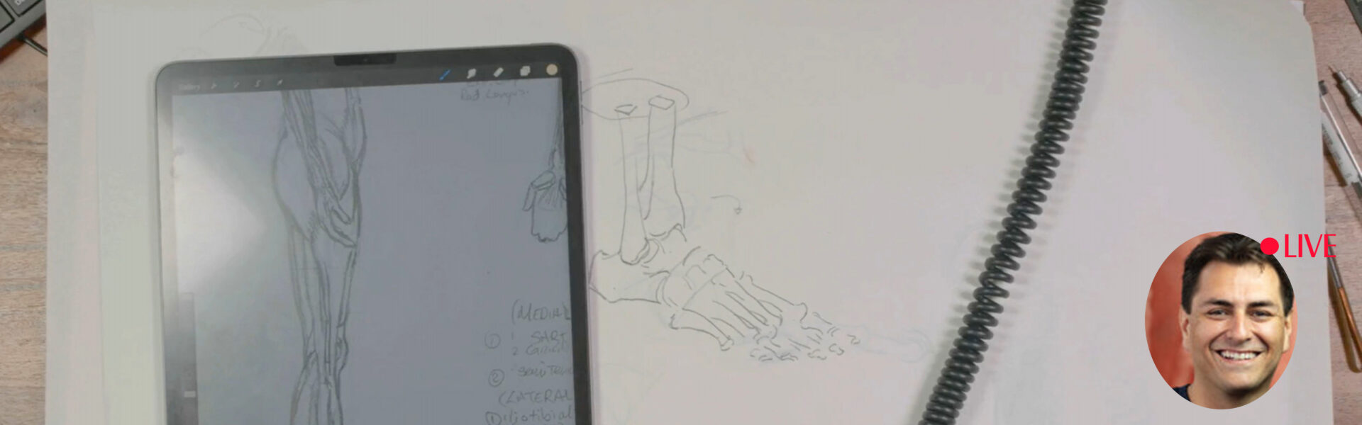 Anatomy Master Class Review Week 8 | New Masters Academy