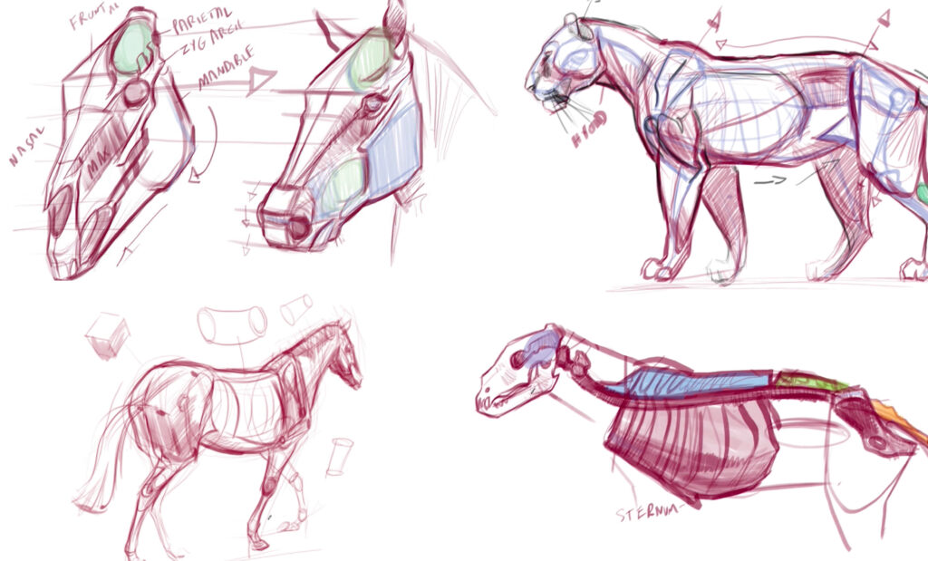 Learn Page | New Masters Academy