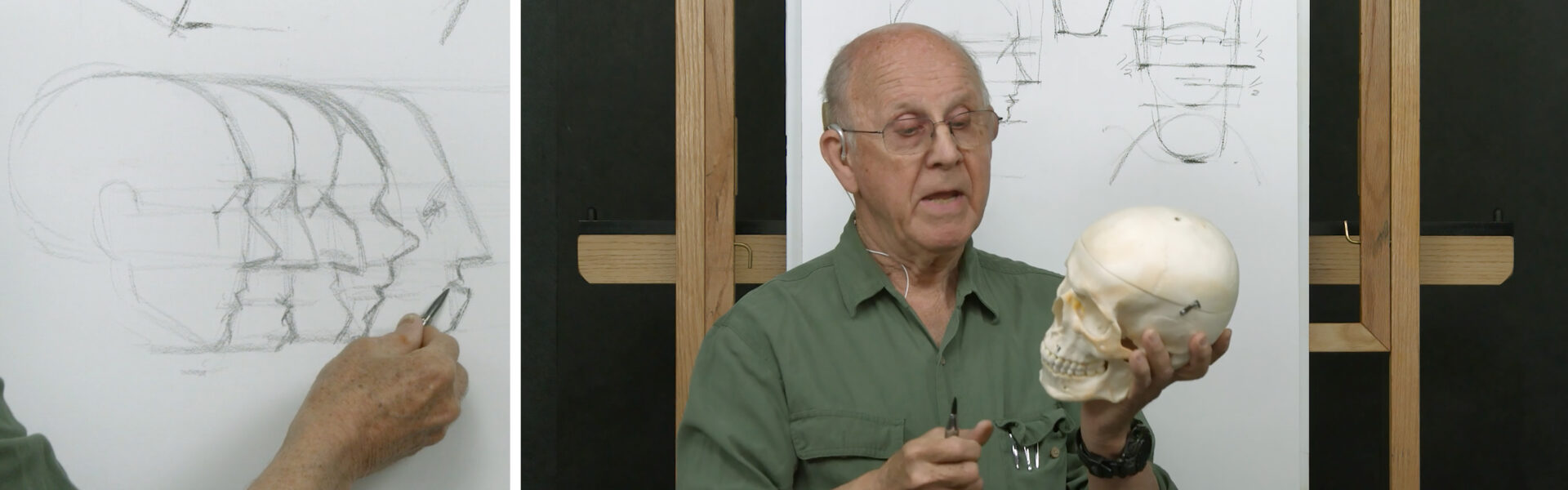 The Proportions and Major Forms of the Human Head | New Masters Academy