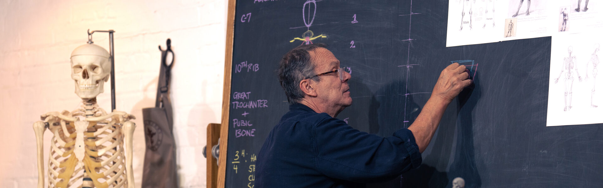 Rey’s Anatomy: The Skeleton | New Masters Academy