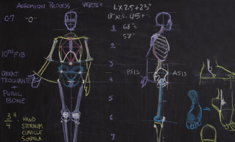 Complete Human Anatomy for Artists (Live Class) | New Masters Academy