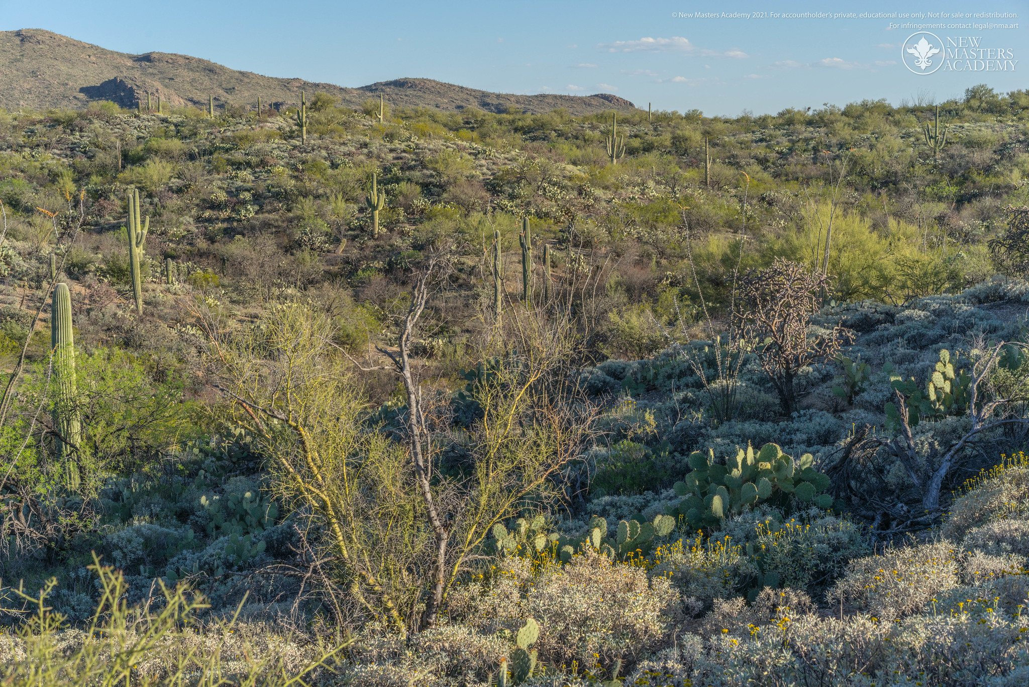 The Importance of Values and Gradation in Landscape Art | New Masters ...