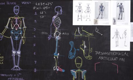 Complete Human Anatomy for Artists (Live Class) | New Masters Academy
