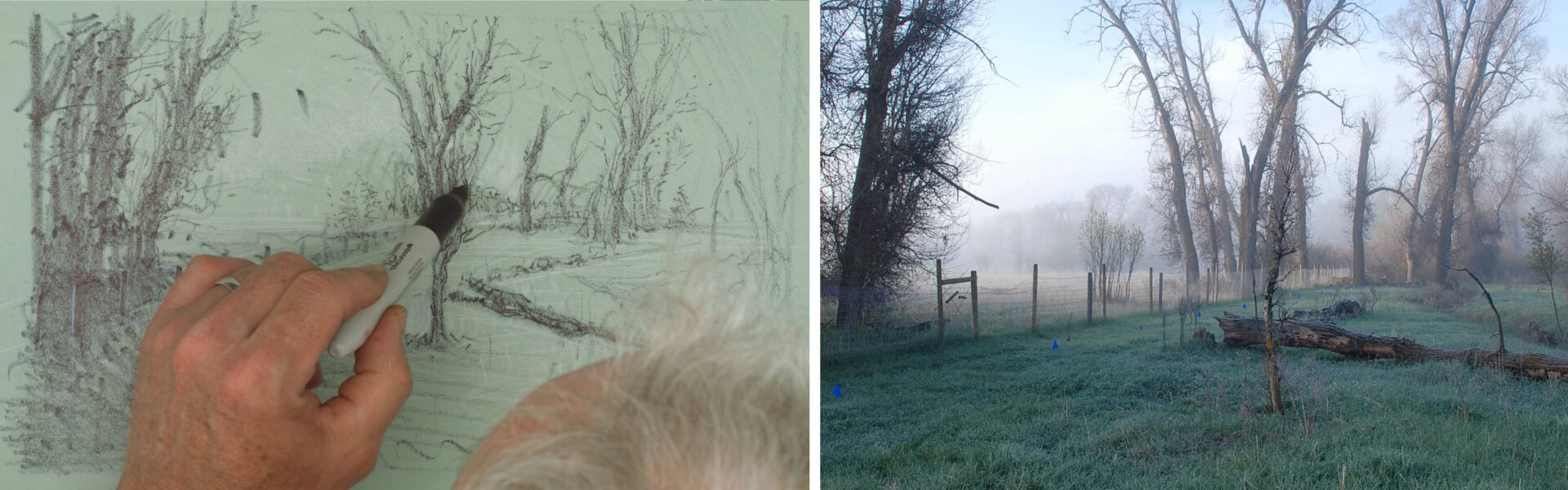 Demonstration of a Forest Scene | New Masters Academy