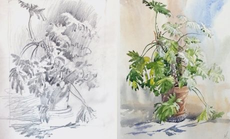 Watercolor Painting from Observation | New Masters Academy