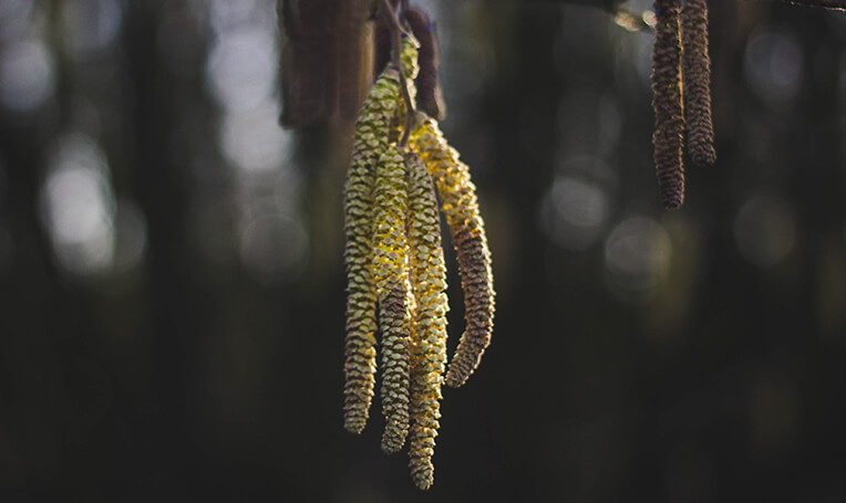 The Best Lake Como Hiking Trails - Sereno Hotels