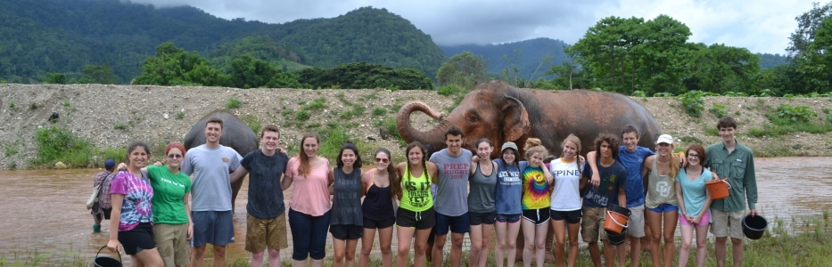 Choosing the Right Community Service Program