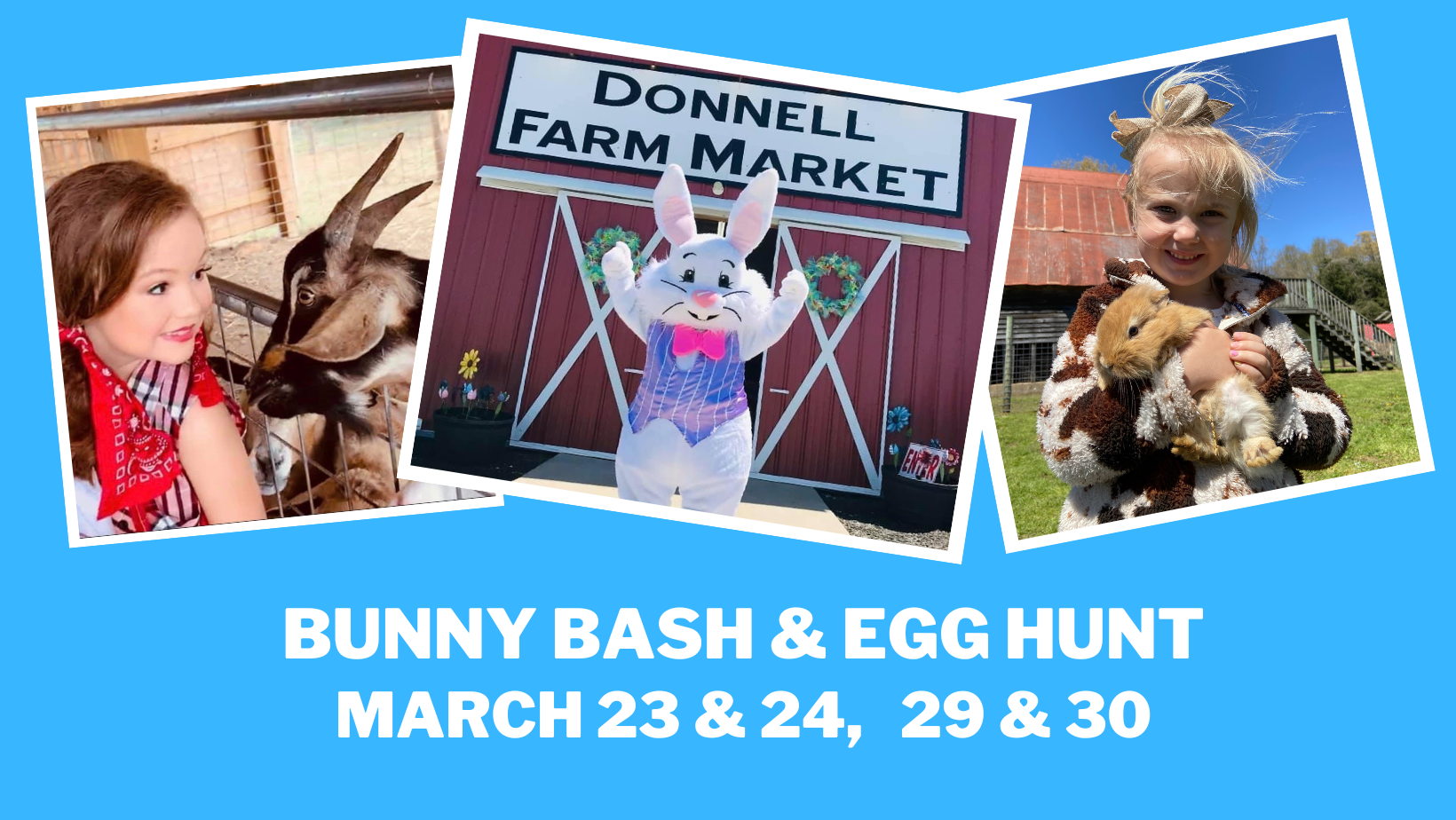 Bunny Bash & Egg Hunt 2024