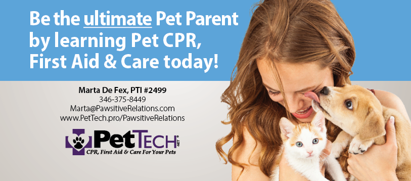 CPR & First Aid Class for Pets - Dogs and Cats