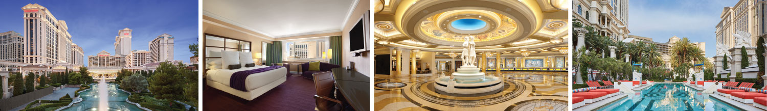 Women in DSO Empower and Grow 2026 Registration