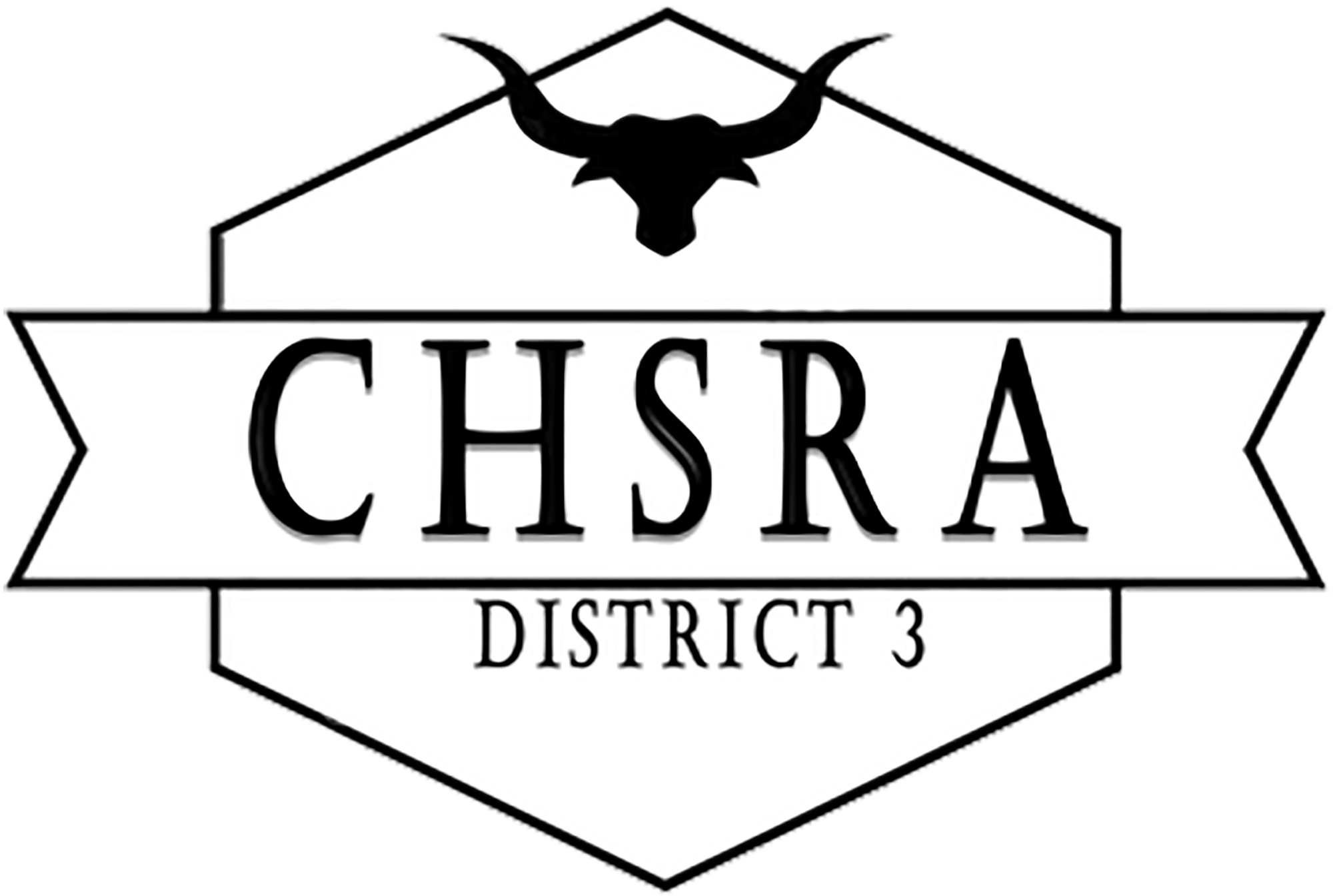 CHSRA Concert Rodeo fund raiser