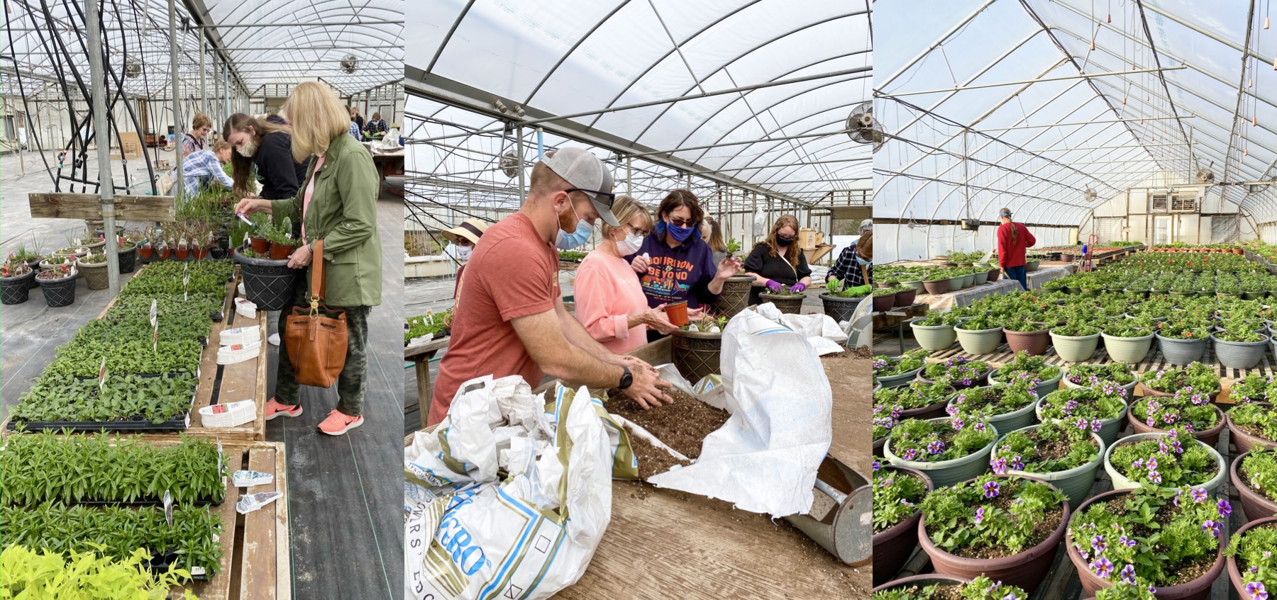 Spring Planter Workshops