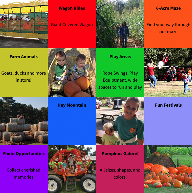 Mitchell Family Farms, LLC Pumpkin Patch