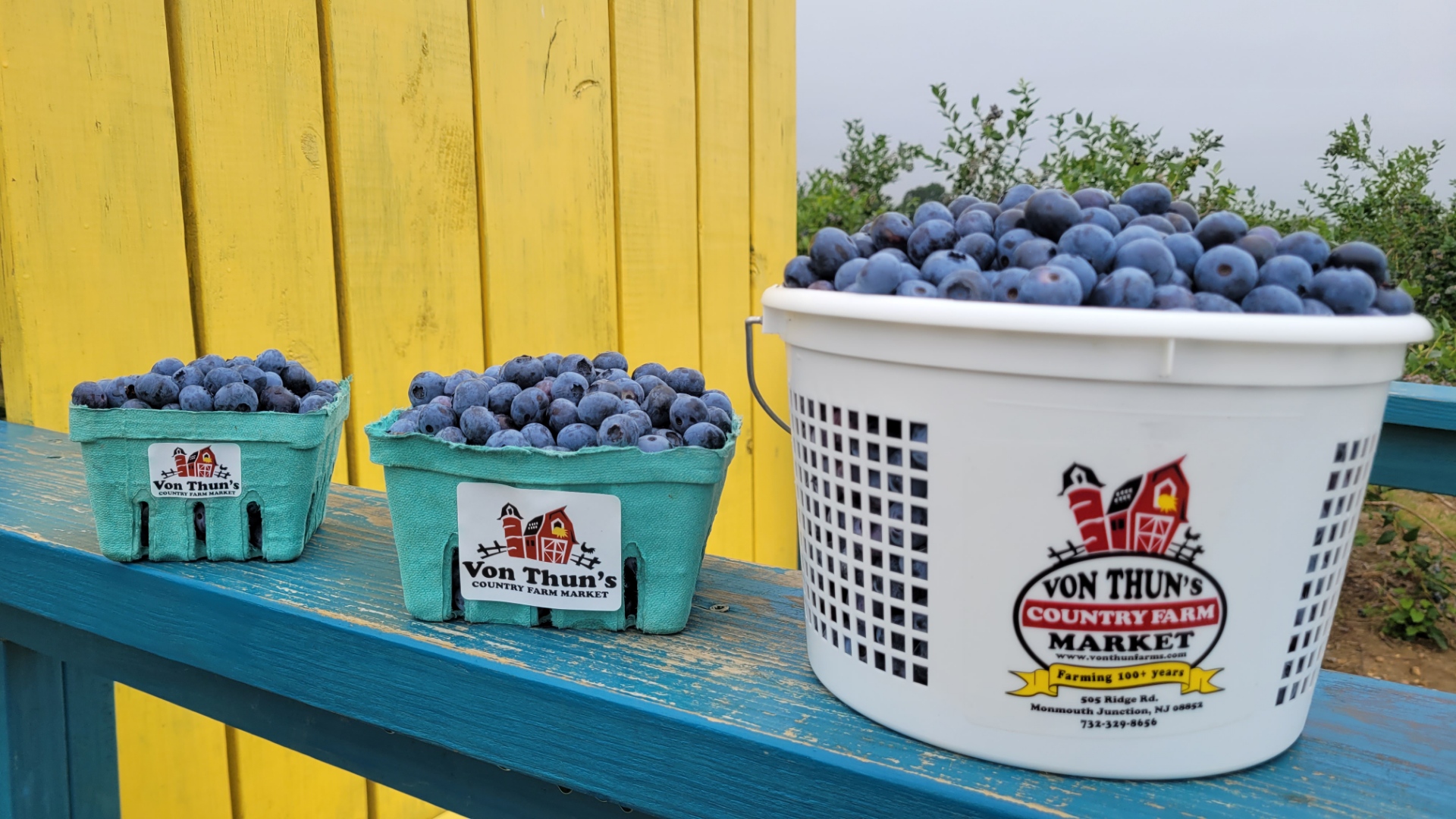 SB Blueberry Fun Days - 2026