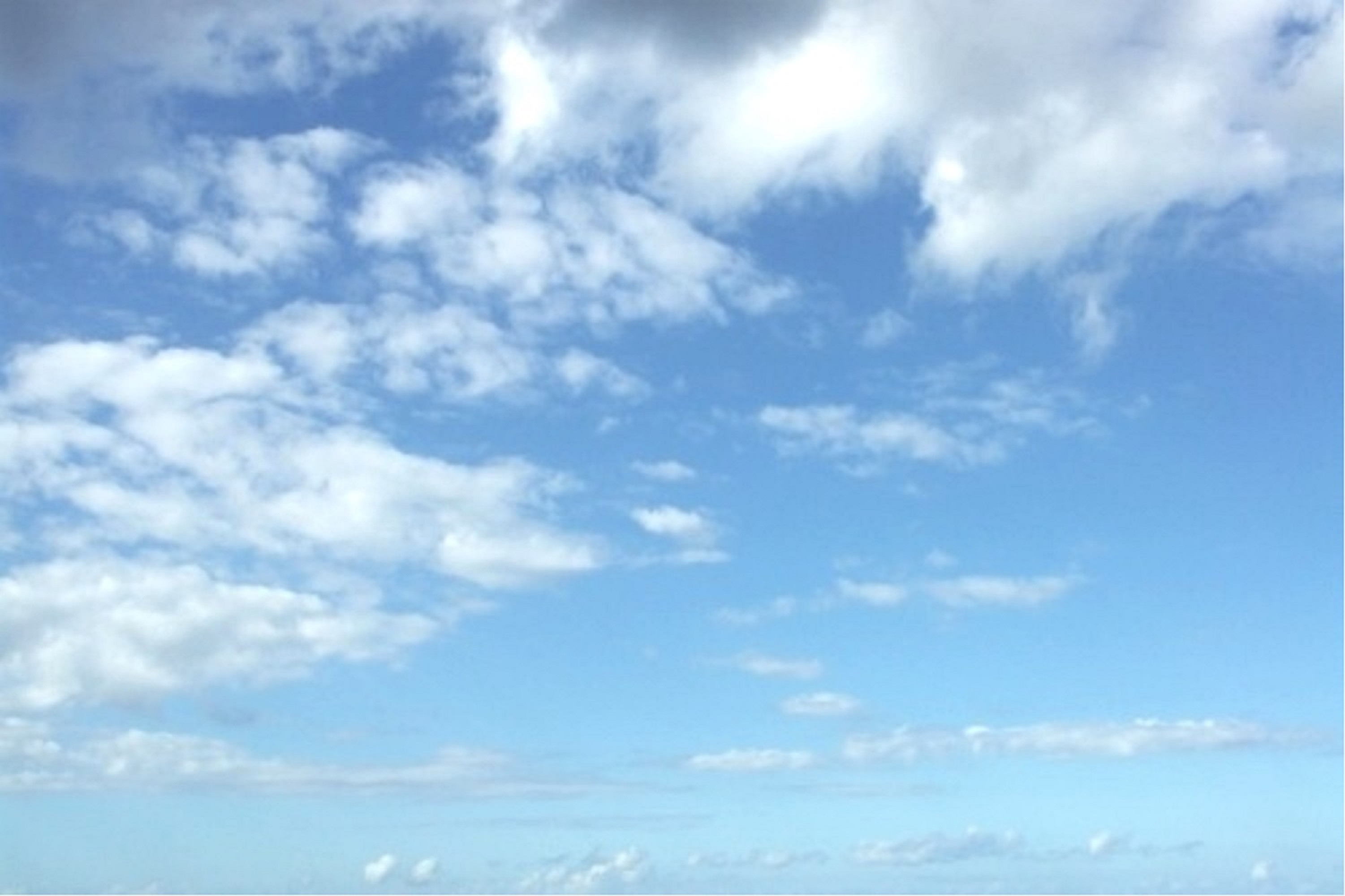 2025 IAEI VANCOUVER WA-NW Section Meeting-Exhibitors/Sponsor.