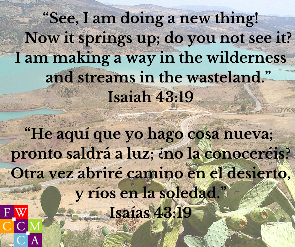 FWCC Americas Section Meeting