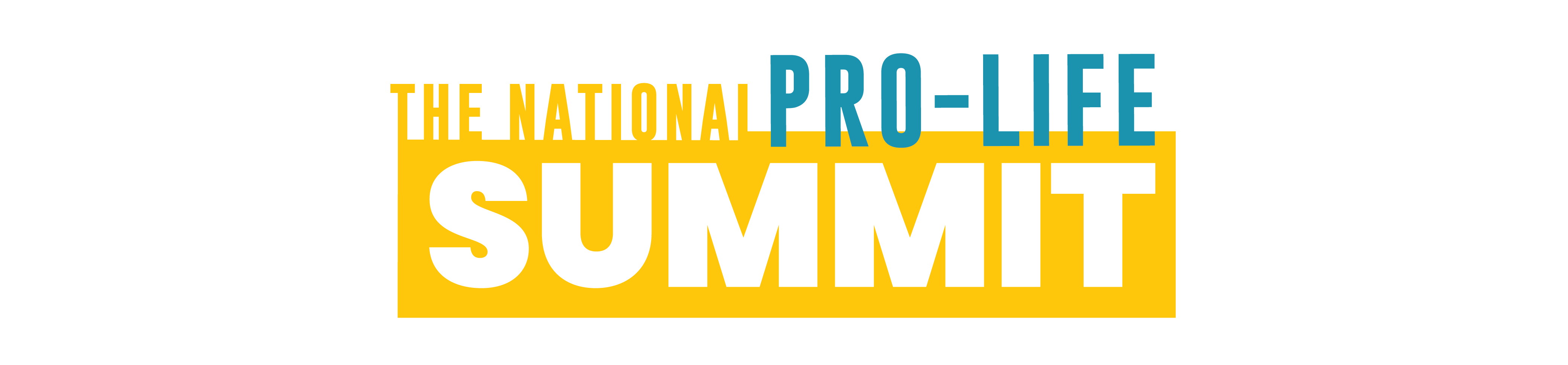 2023 National Pro-Life Summit