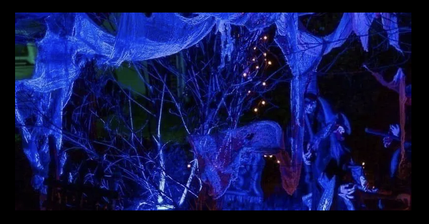 Halloween House - Reno 2024