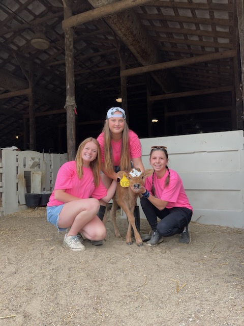 Nash Cheese Farm Tour