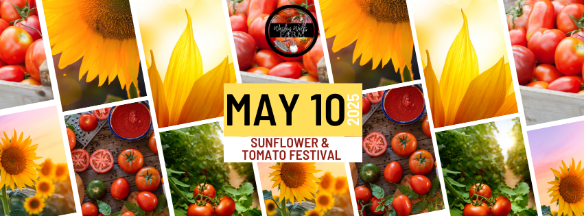 Sunflower & Tomato festival