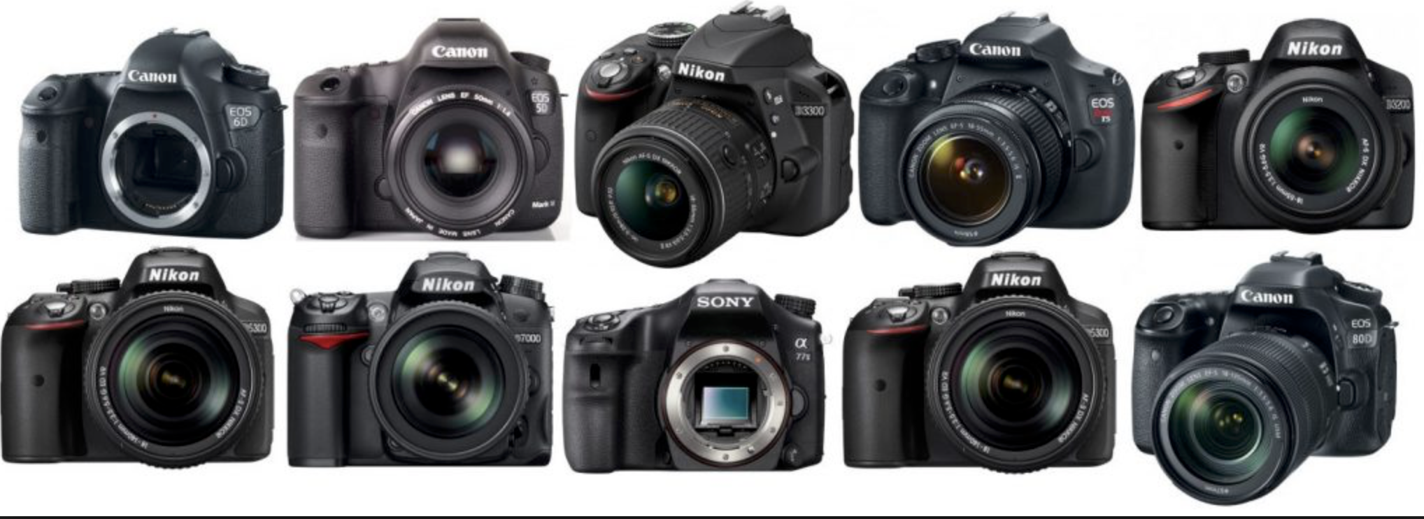 Digital Single Lens Reflex (DSLR) 101