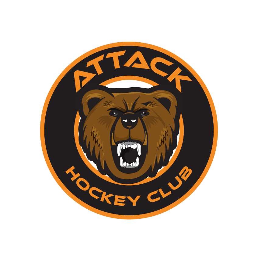 2024 AHC Spring Hockey Tryouts