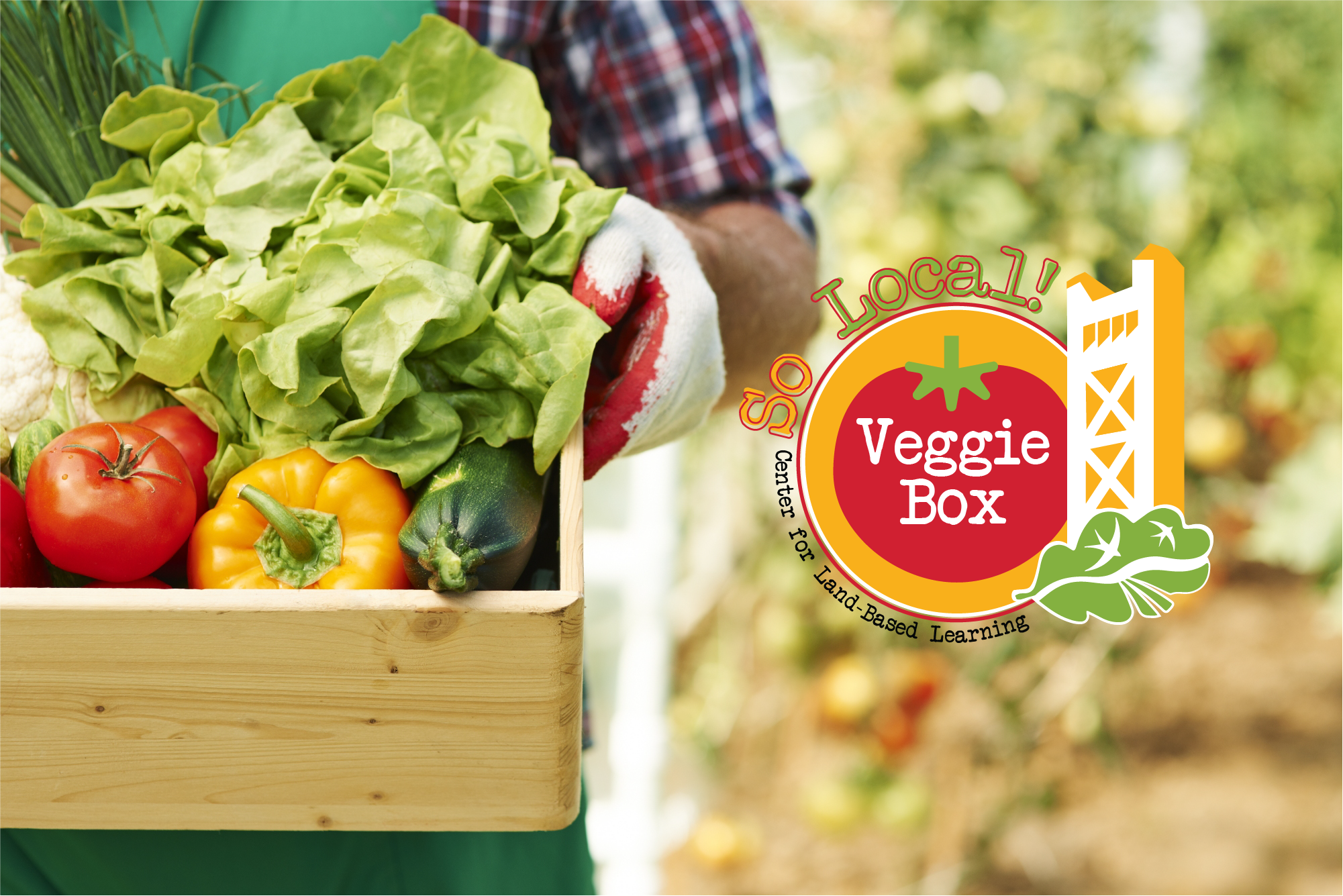 So Local! Veggie Box