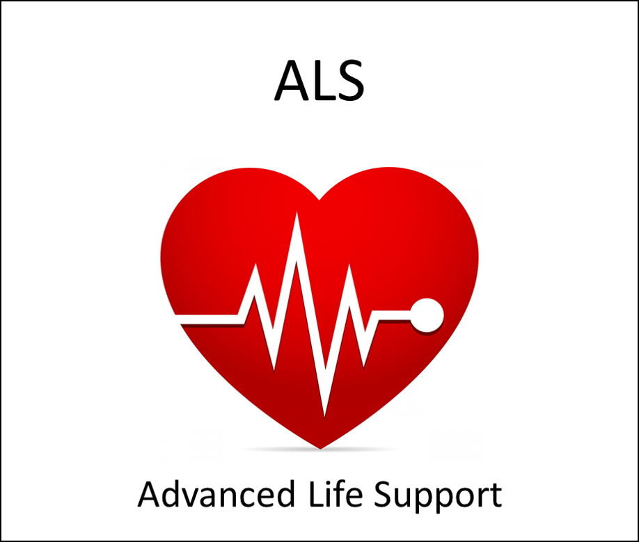 HeartCode Complete (ALS-BLS-PALS) - Pharmacy