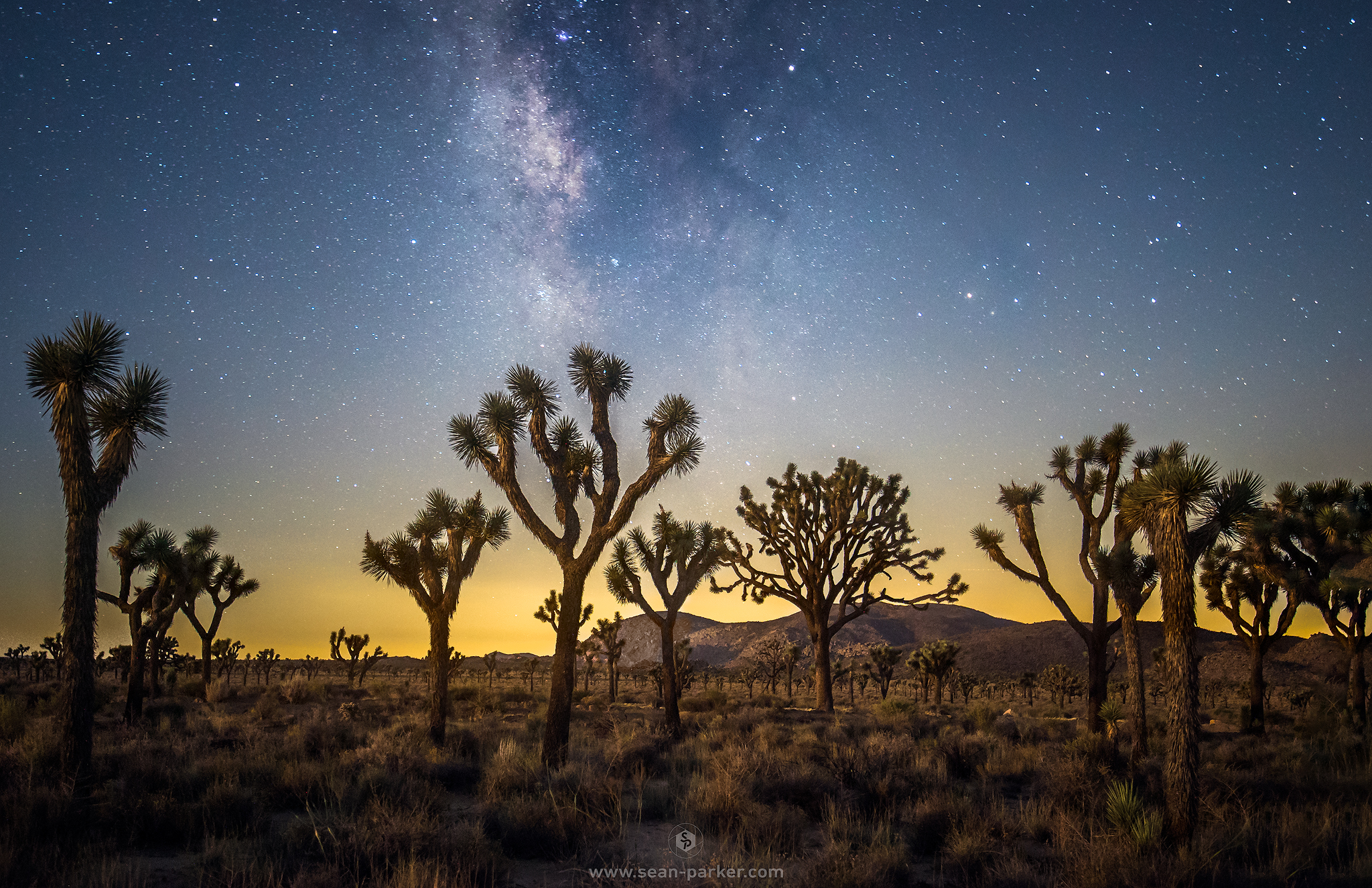 Joshua Tree National Park Astrophotography Workshop