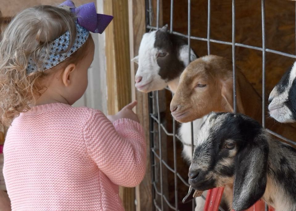 2021 Trunnell's Egg-Ceptional Kids Easter Egg Hunt & Bunny Fun