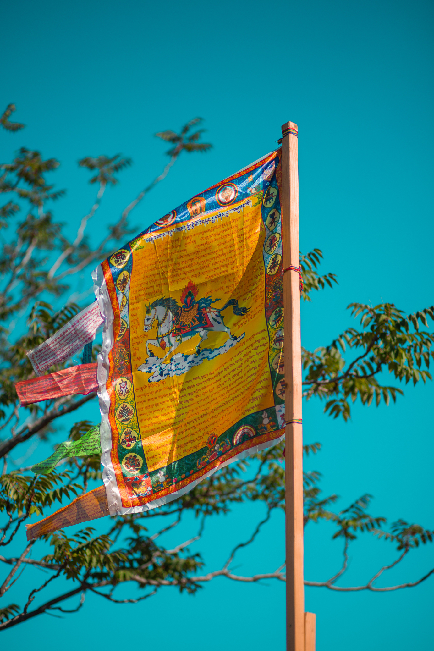 21 Tara Practice with Lama Wangdu Rinpoche