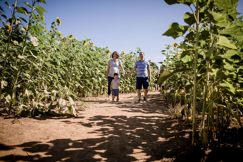 2021 Lee Farms Sunflower Festival